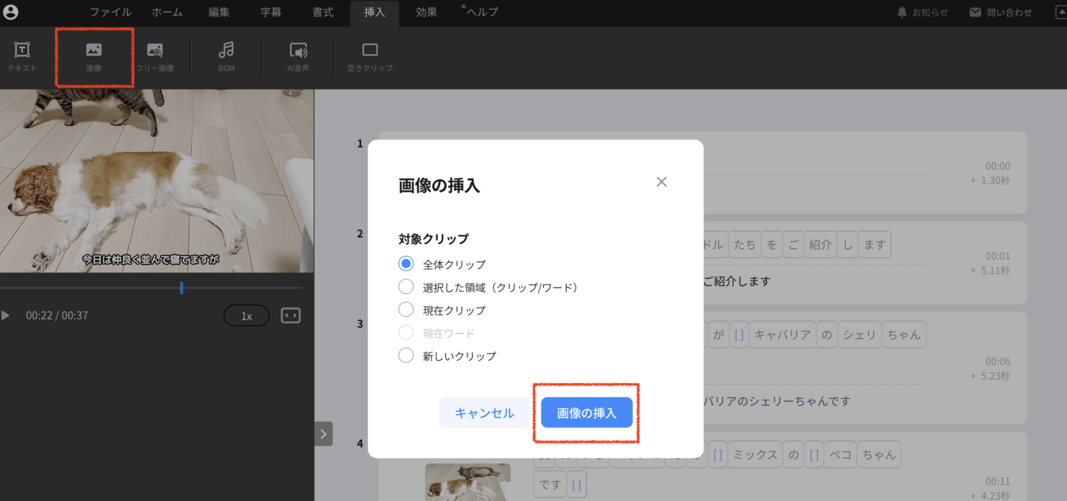 【動画編集】無料アプリ「Vrew」の使い方・写真付きでわかりやすく解説 | yuki log